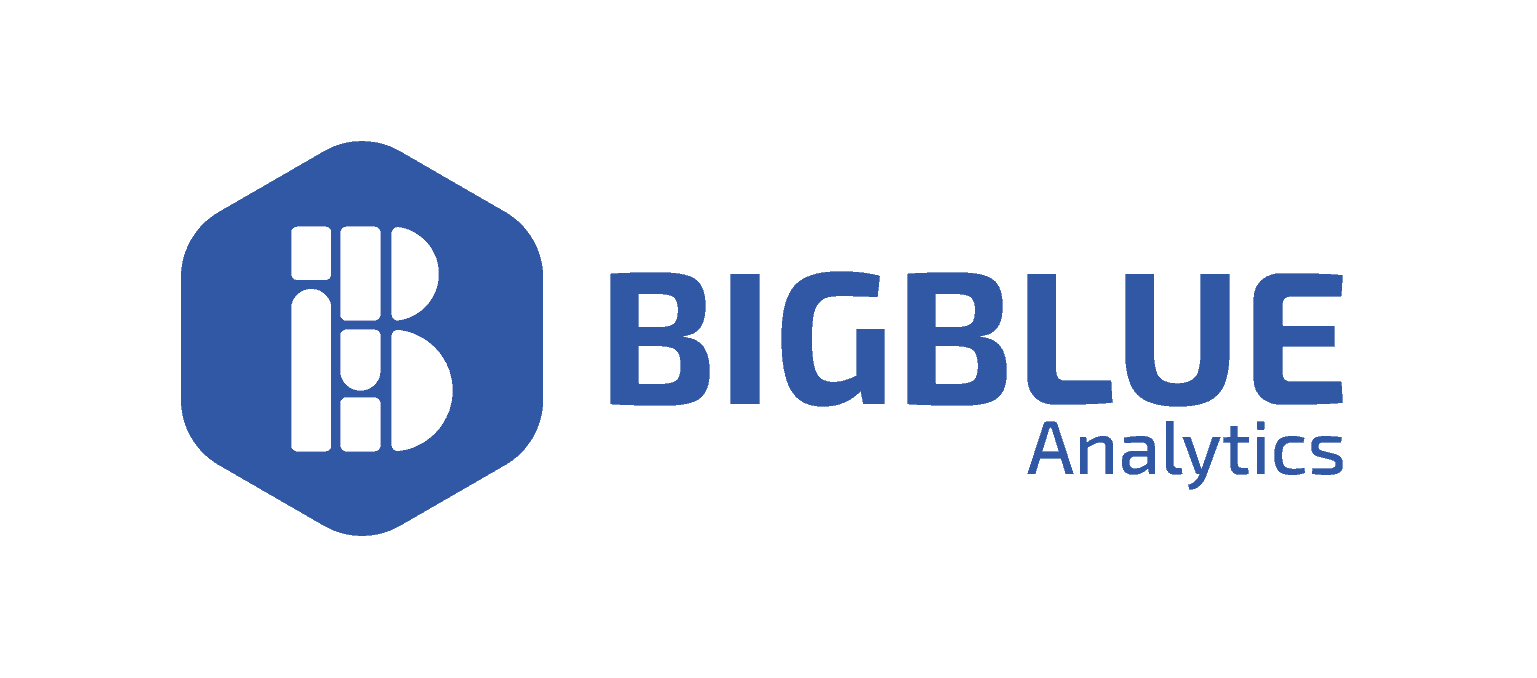 Big Blue Analytics - El Referente