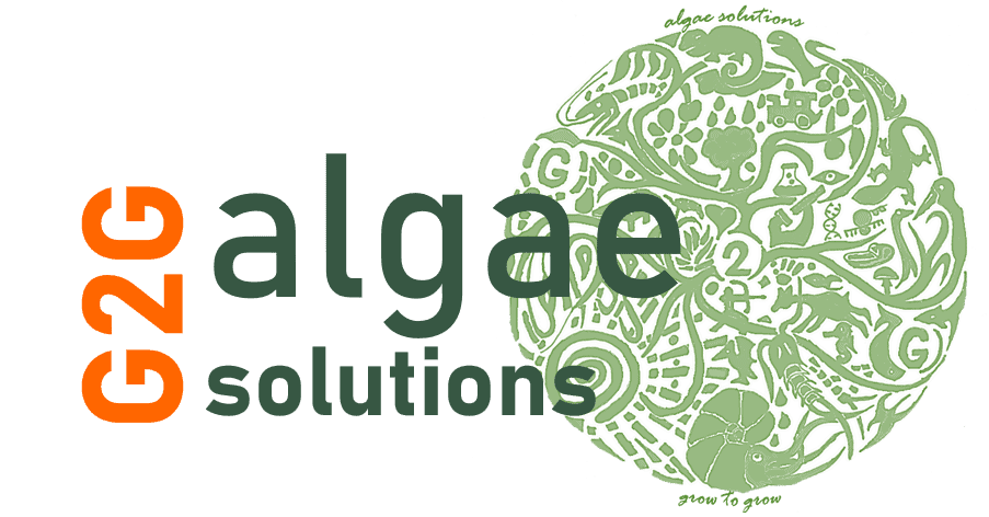 El Grupo EULEN invierte 1 millón de euros en G2G Algae
